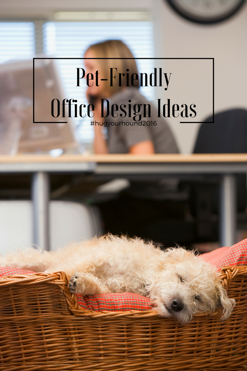 Pet Friendly Office Design Ideas & APPRO and CERRON's Furry Friends